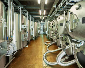 Exploring the Art and Science of Fermentation in Flavor– Renaissance ...